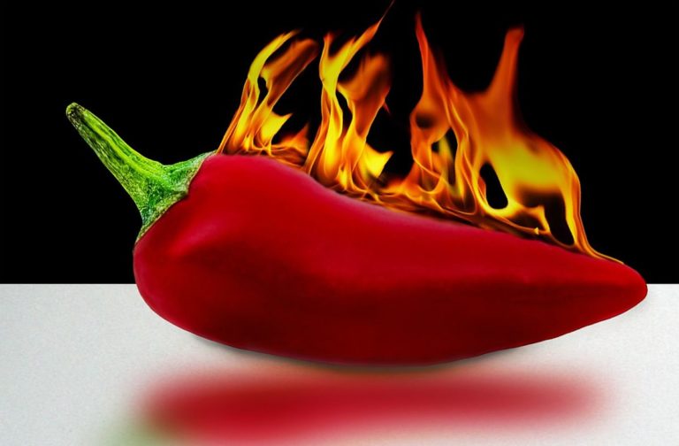 Los chiles más picantes del mundo - DESCEREBRADOS